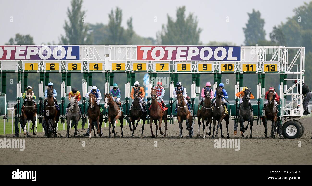 Totepool ampics hi-res stock photography and images - Alamy