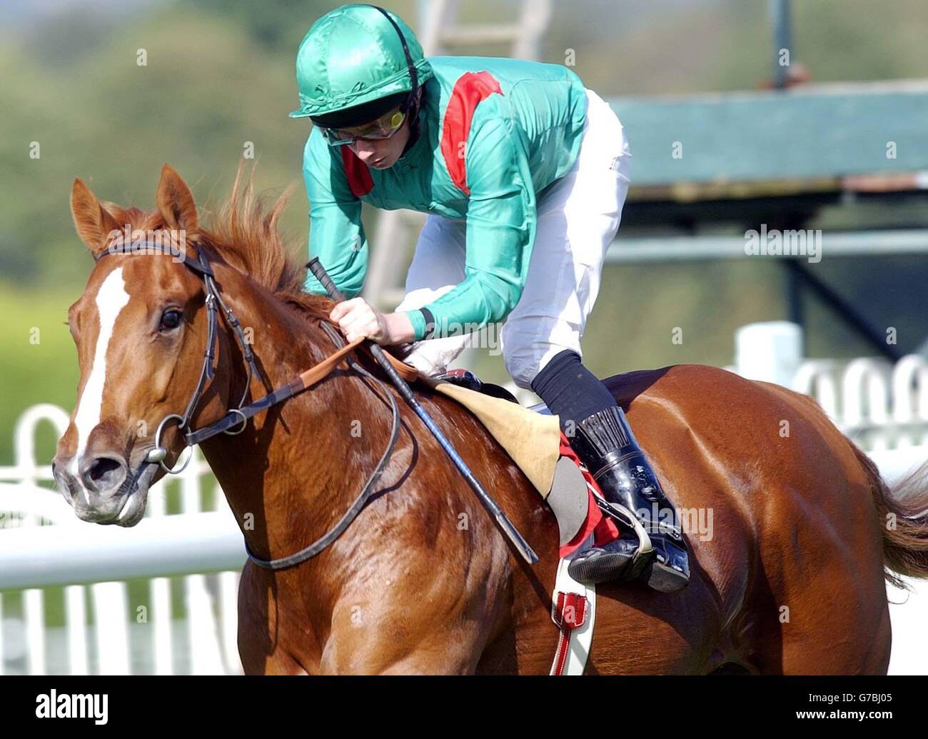 The Halewood International futures novice stakes Stock Photo - Alamy