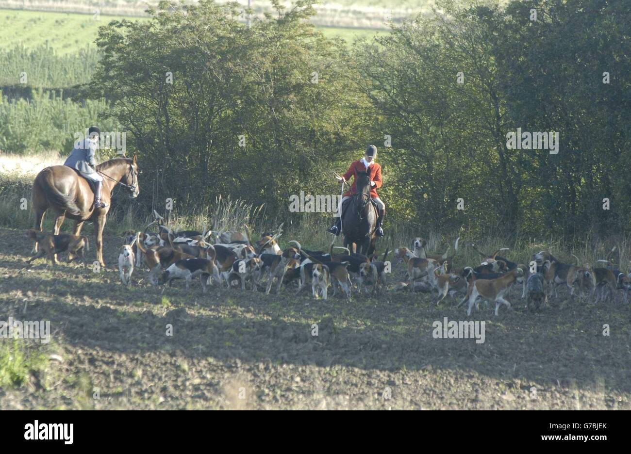 Atherstone hunt hi-res stock photography and images - Alamy