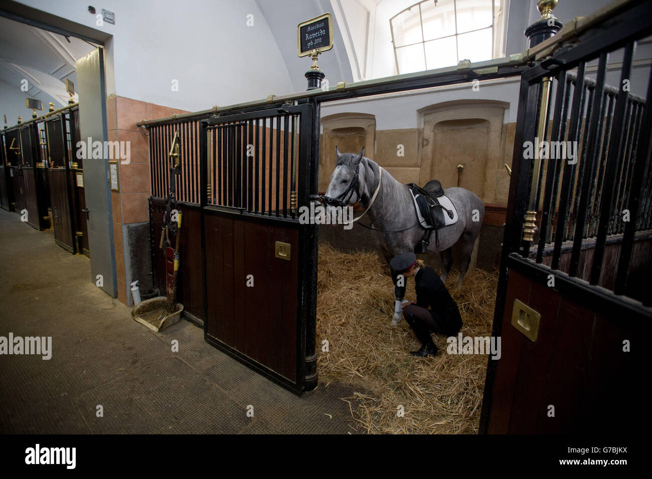 The Spanish Riding School Stock Photo - Alamy