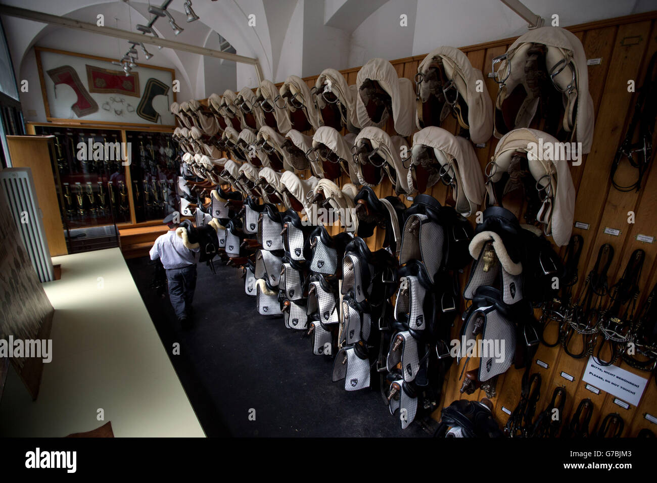 Pearson saddle hi-res stock photography and images - Alamy