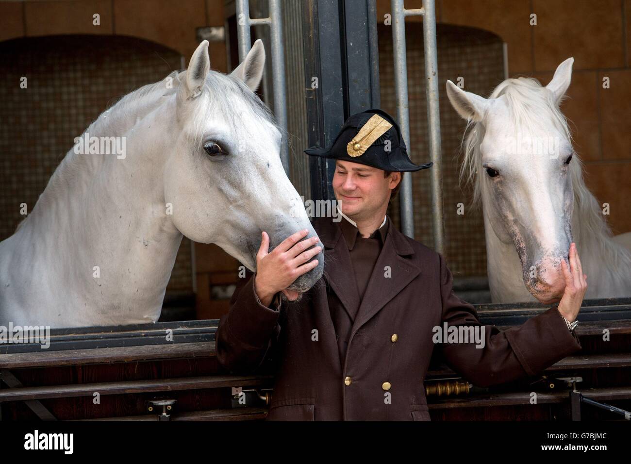 The Spanish Riding School Stock Photo - Alamy