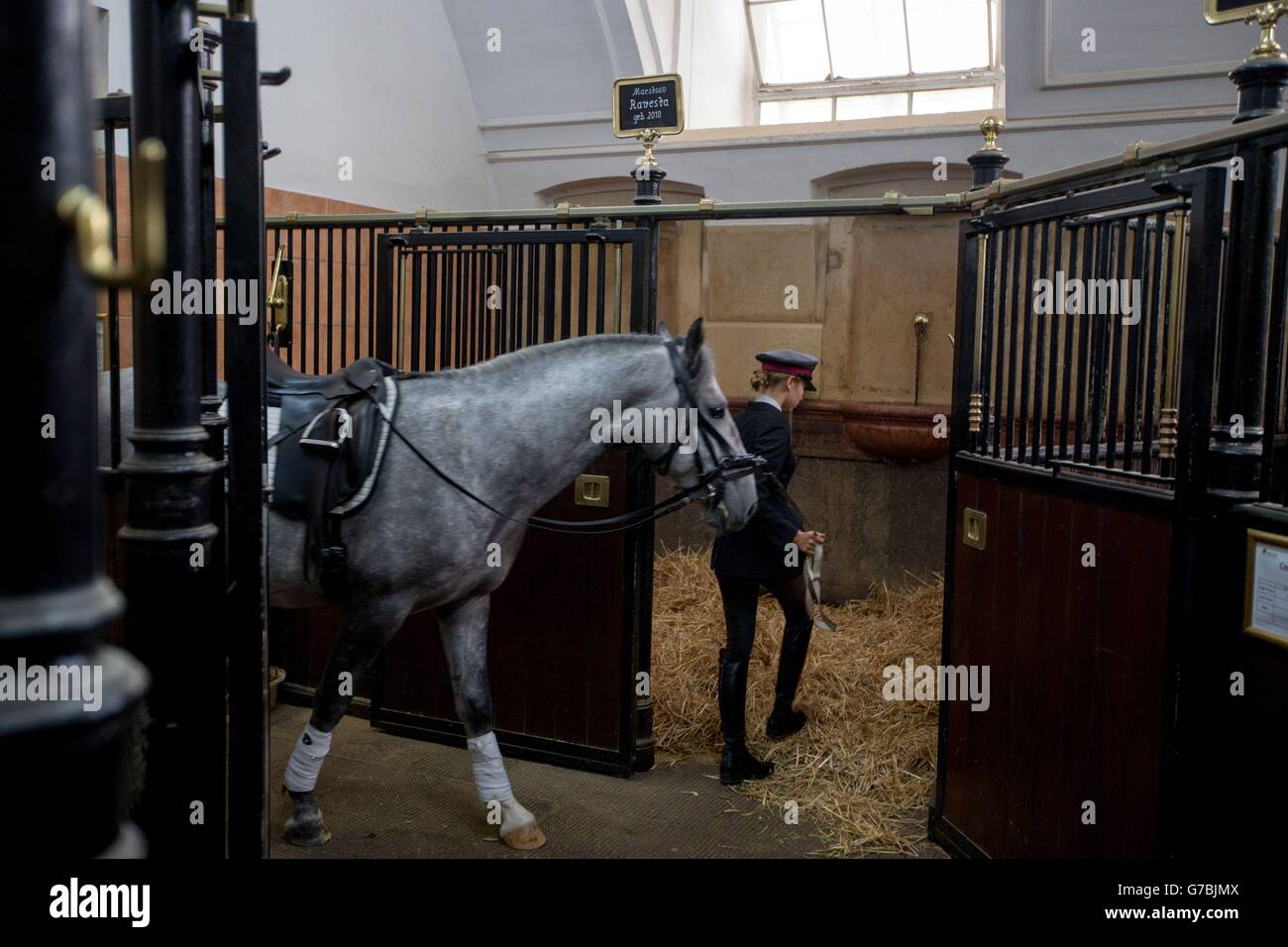 The Spanish Riding School Stock Photo - Alamy