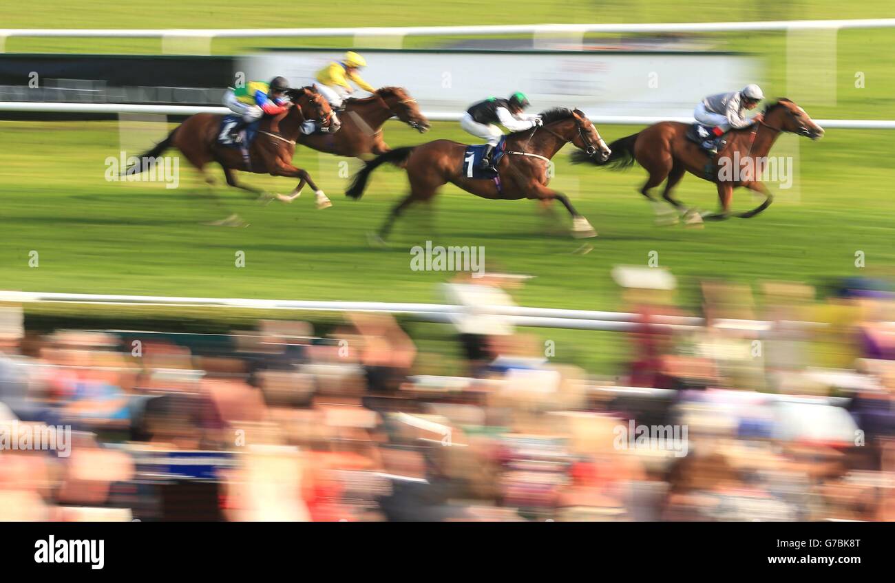 Two riders one horse hi-res stock photography and images - Alamy