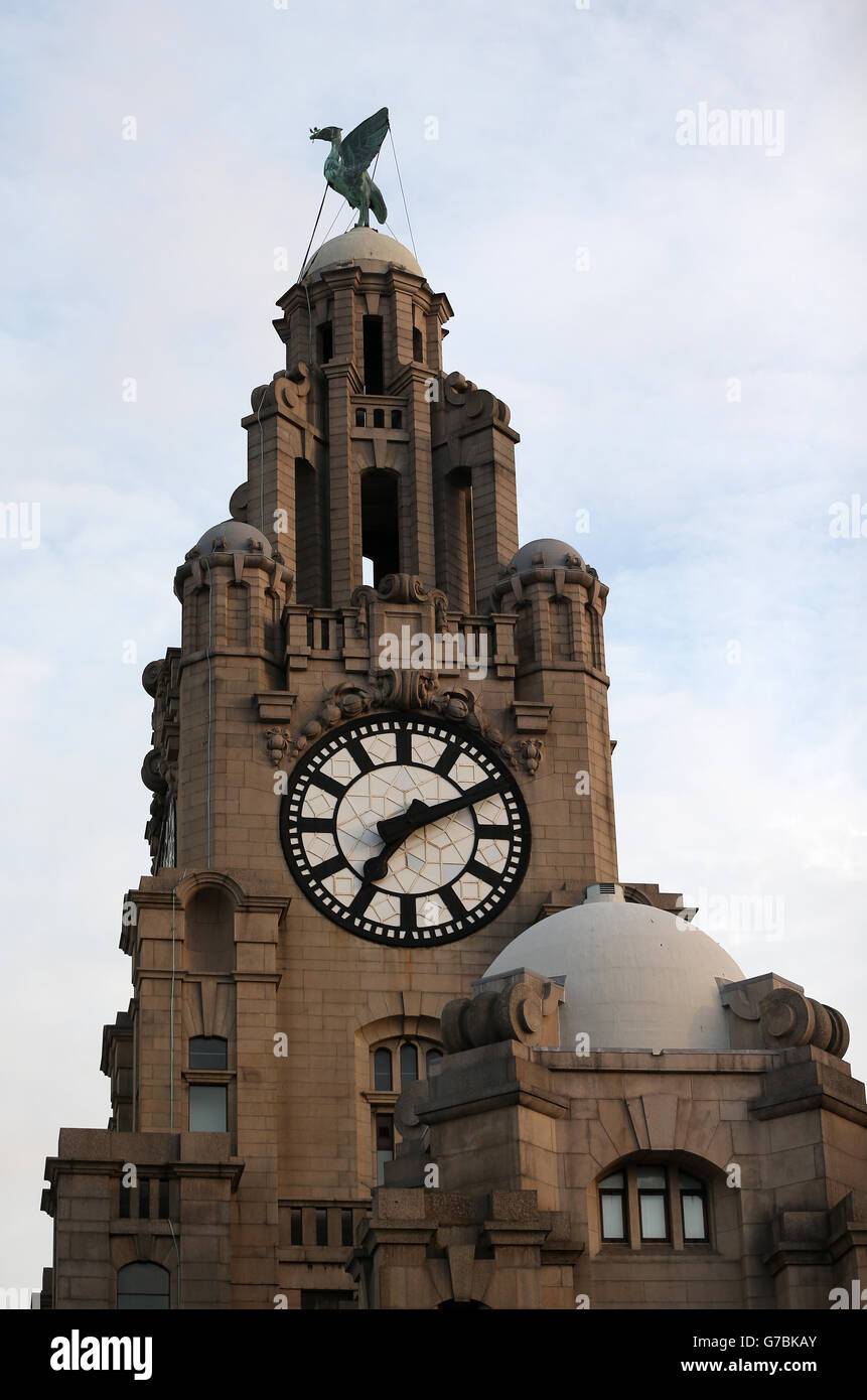 Liver building stock hi-res stock photography and images - Alamy