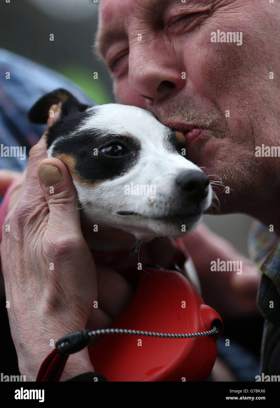 Misty the Jack Russell is fussed over by local resident (name not given ...