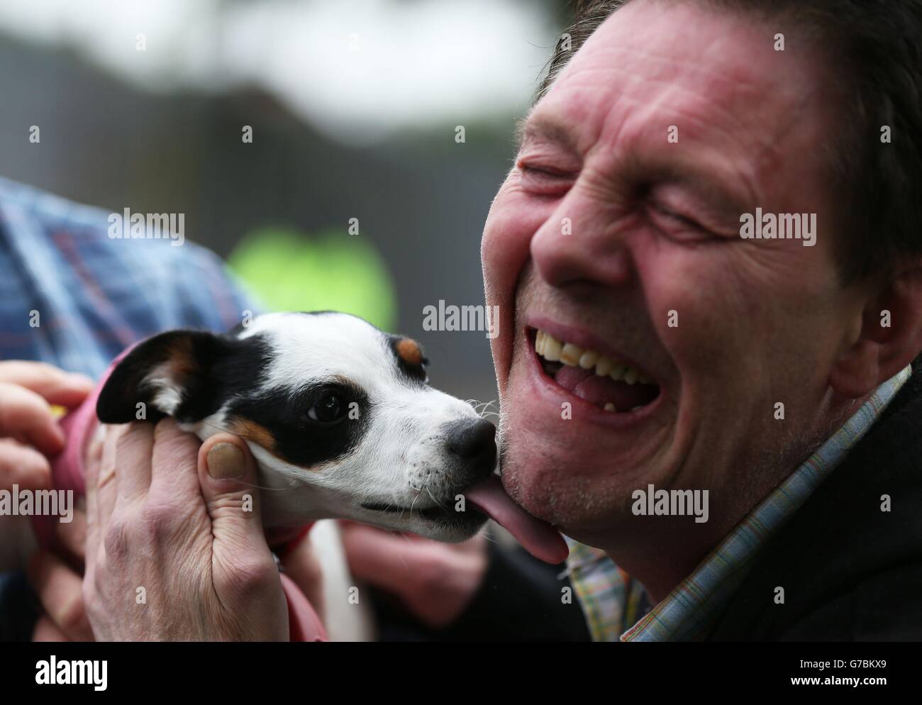 Misty the Jack Russell is fussed over by local resident (name not given ...