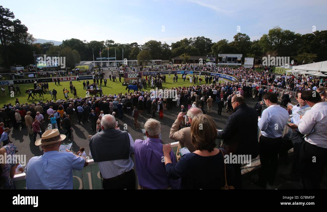 Champions ring hi-res stock photography and images - Alamy