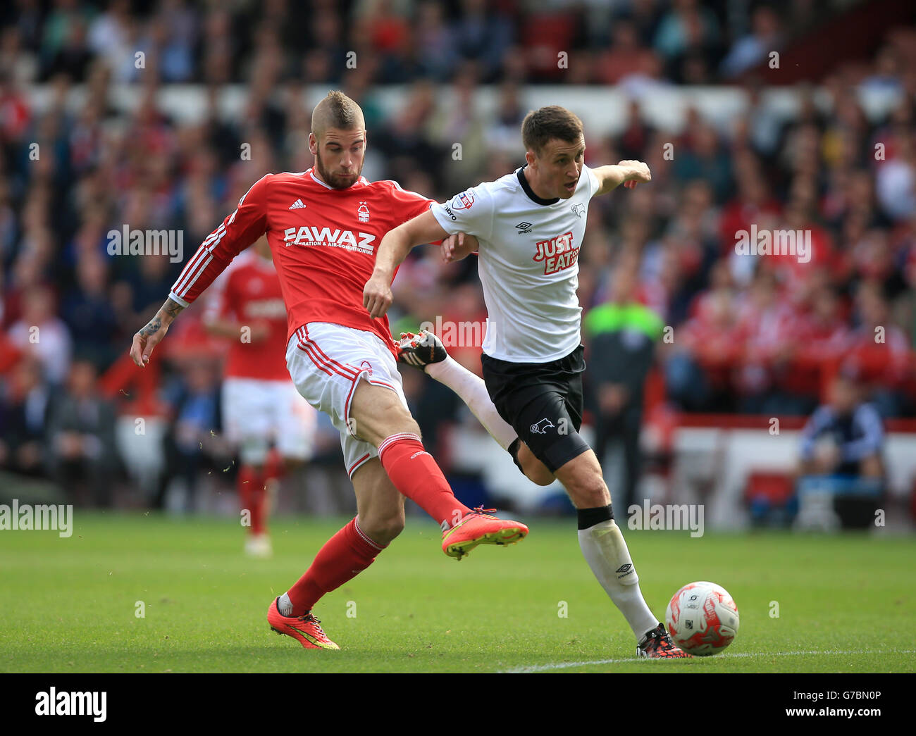 Lars veldwijk forest hi-res stock photography and images - Alamy