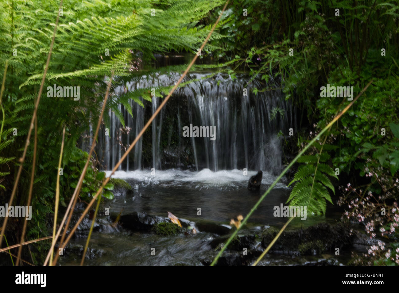 Lyme park national trust country house/home of the legh family. lyme ...
