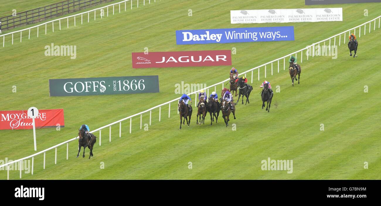 Horse Racing - 2014 Irish Champions Weekend - Day Two - The Curragh ...