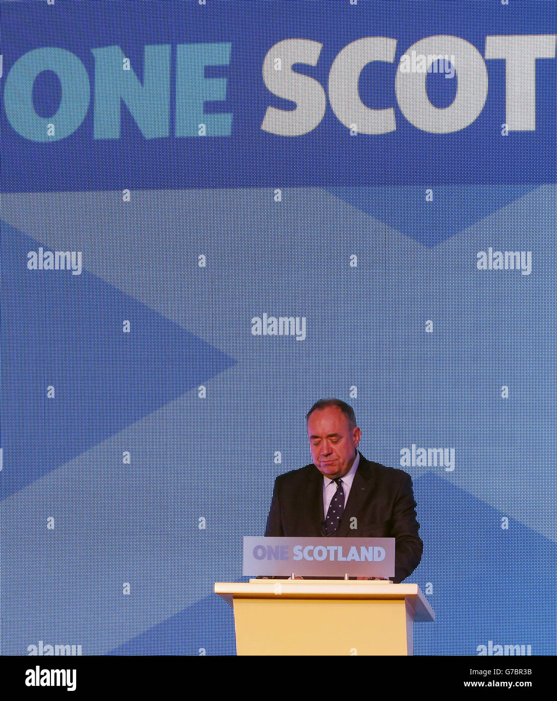 Scottish independence referendum Stock Photo - Alamy