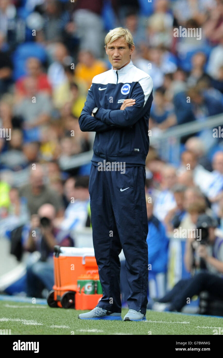 Brighton and hove albion manager sami hyypia hi-res stock photography ...