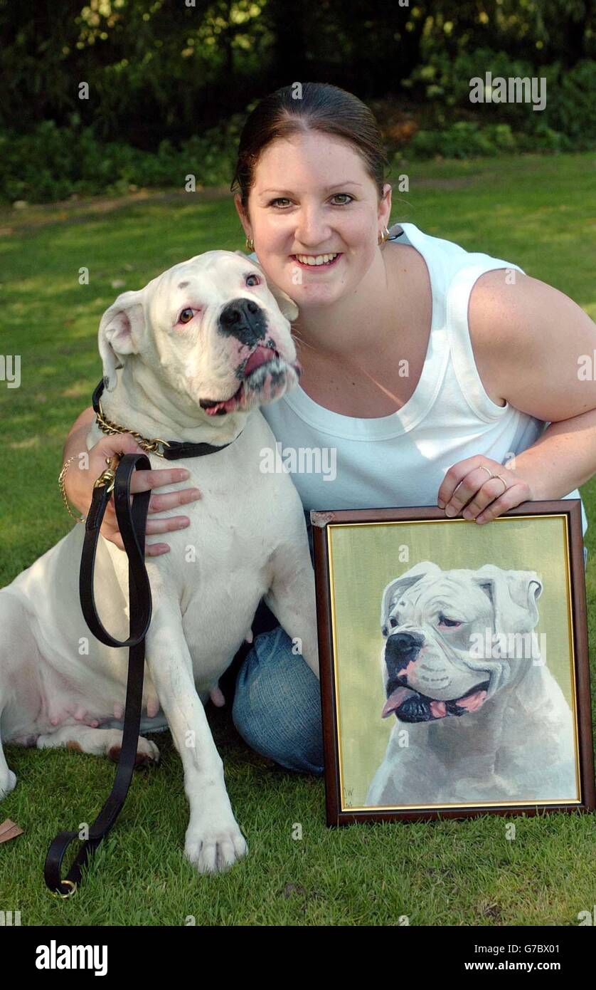 Pdsa award hi-res stock photography and images - Alamy