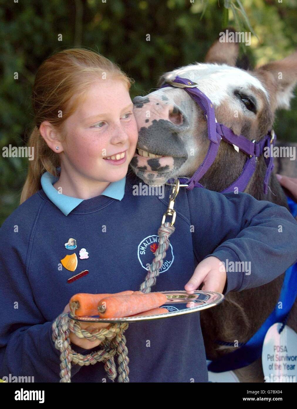 Pdsa pet awards hi-res stock photography and images - Alamy