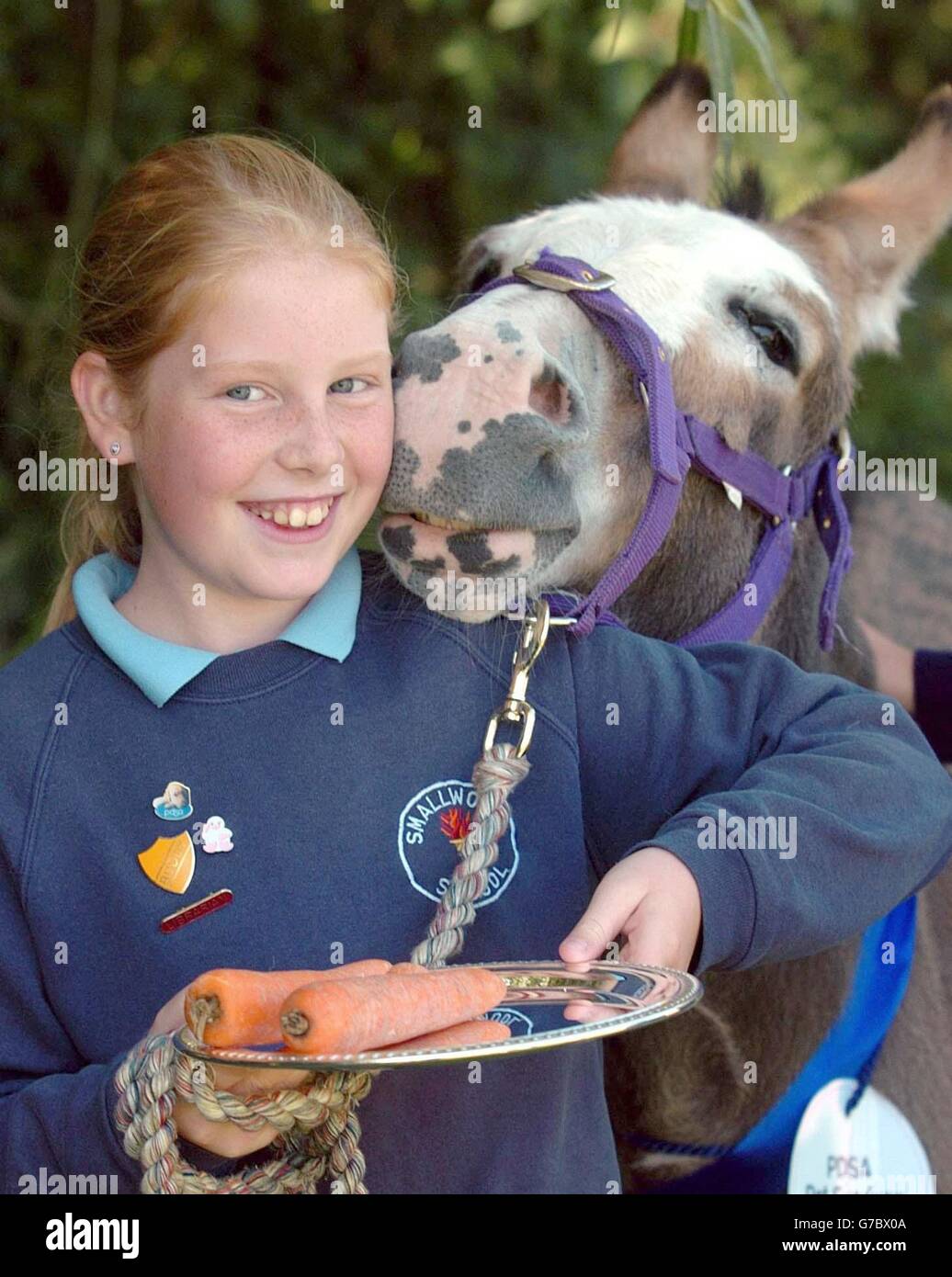 Pdsa award hi-res stock photography and images - Alamy