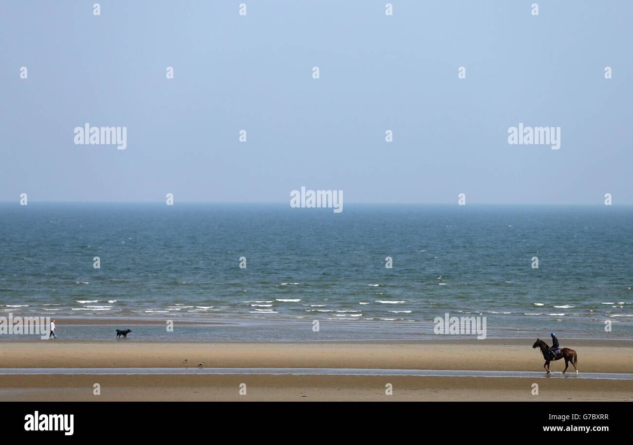 Horse jockey on laytown beach ahead laytown races laytown beach hi-res ...
