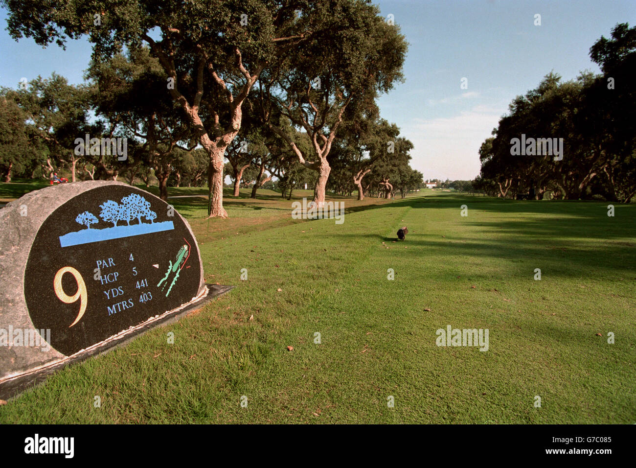Golf - Valderrama Golf Course - General Views. The 9th Green at the ...