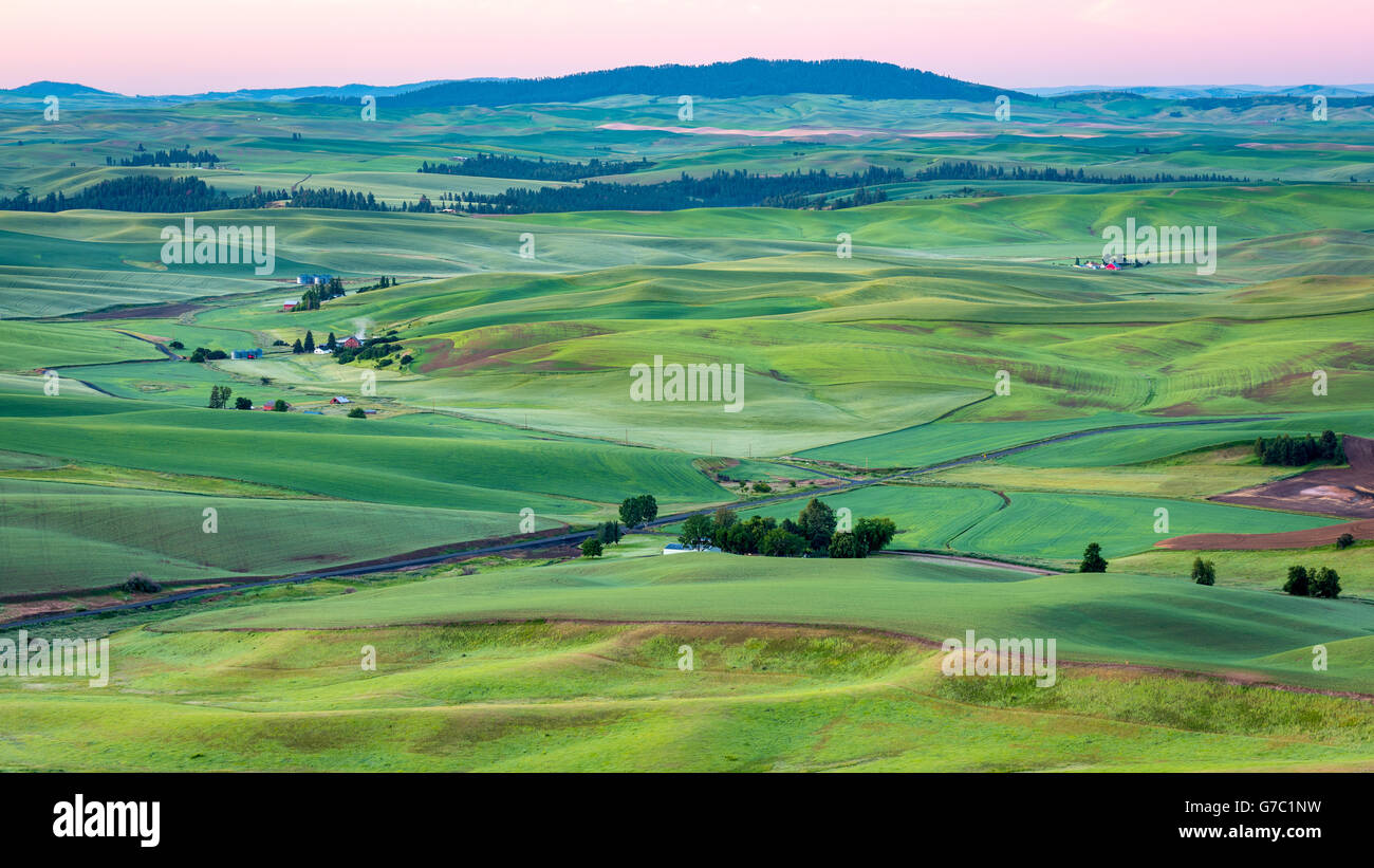 Farms green hi-res stock photography and images - Alamy