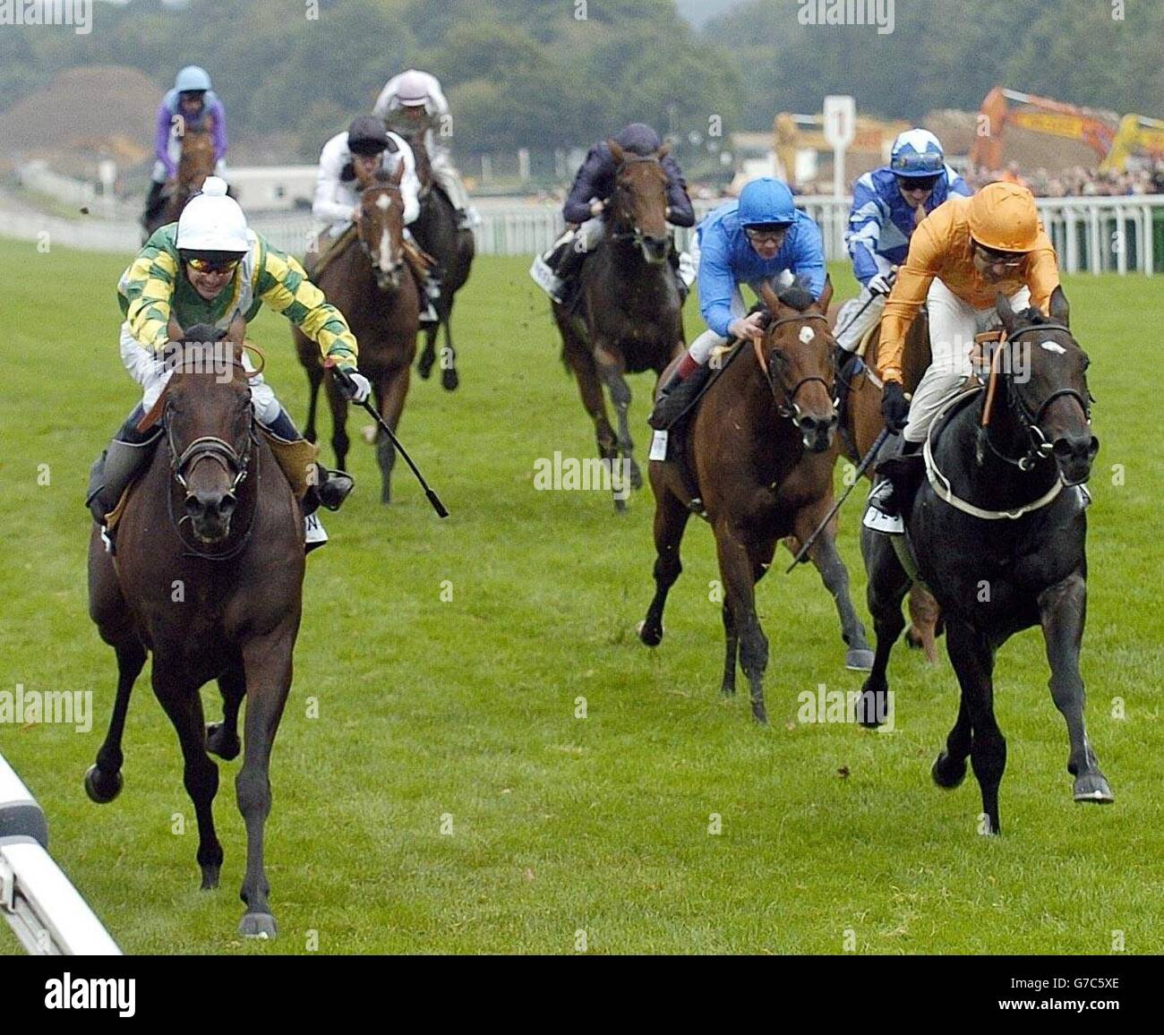 Group1 hi-res stock photography and images - Alamy