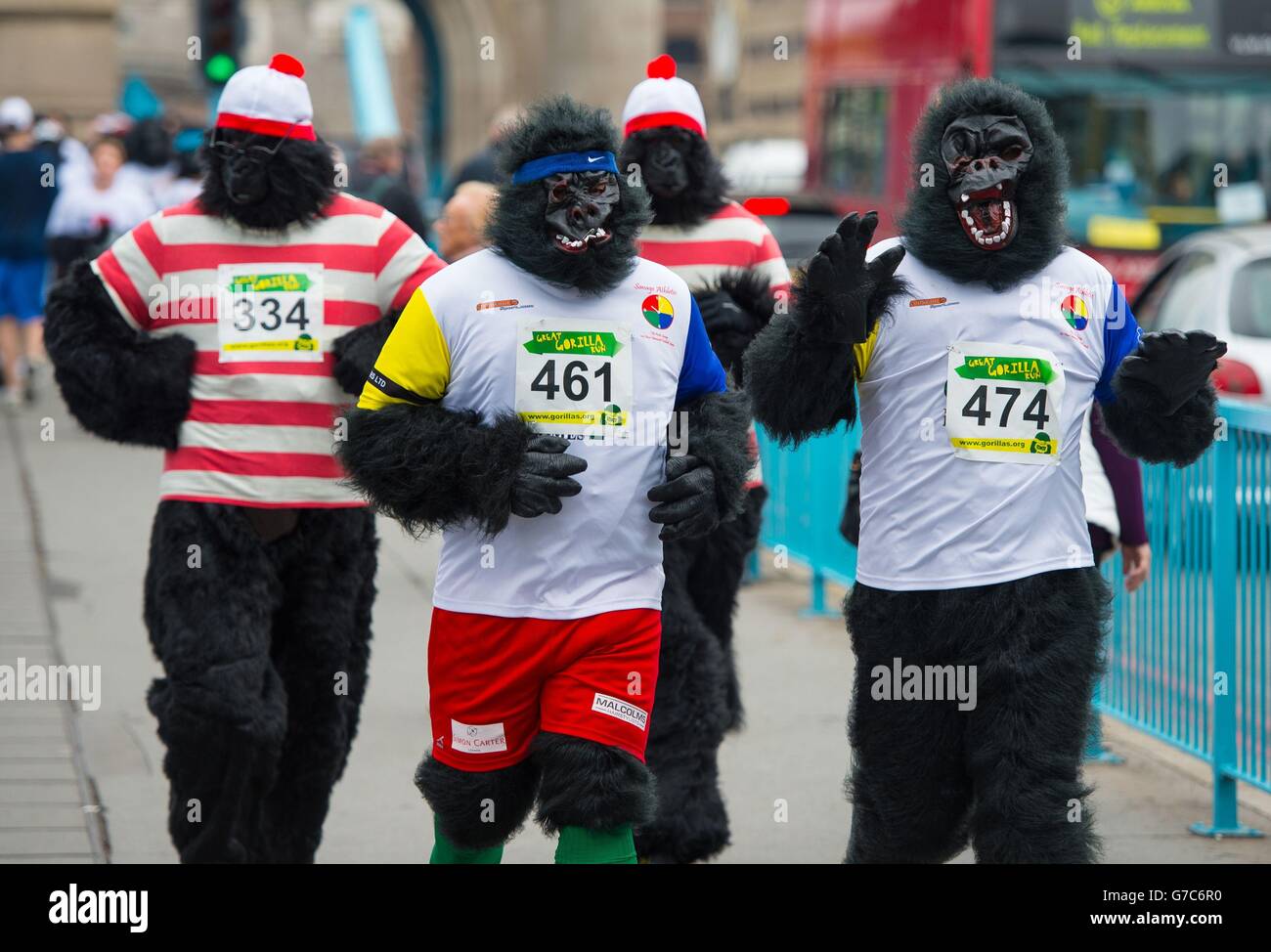 Runners in the London Great Gorilla Run cross Tower Bridge, in central ...