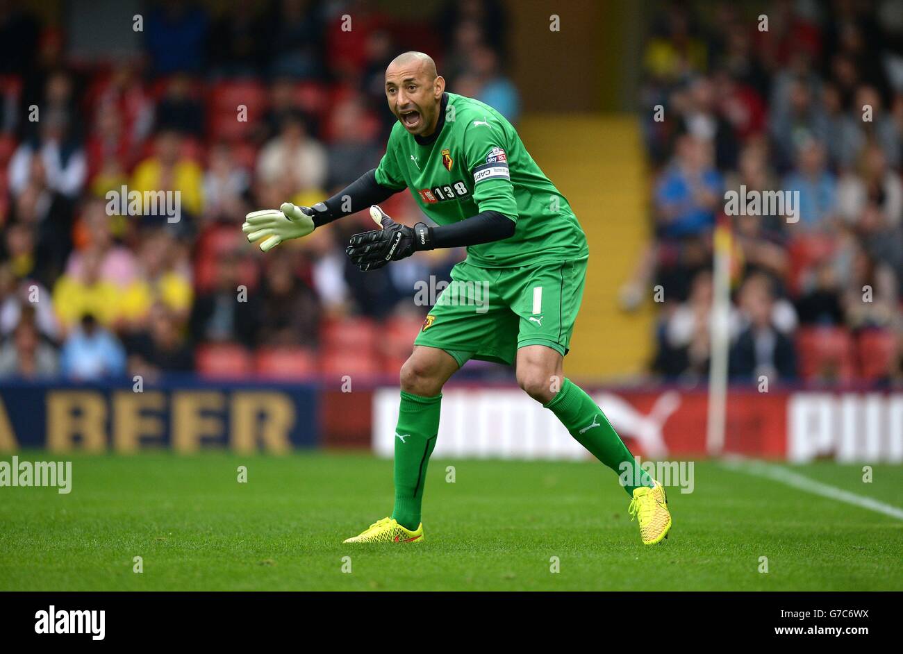 Watford goalkeeper Heurelho Gomes gestures to his team mates during the ...
