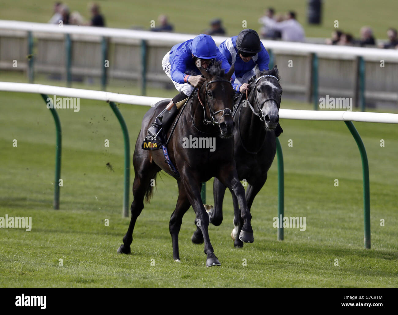 Maftool hi-res stock photography and images - Alamy