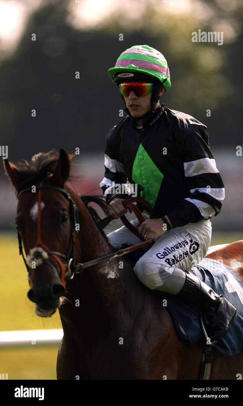 Angelic Lord ridden by Richard Kingscote wins the Irish Stallion Farms ...