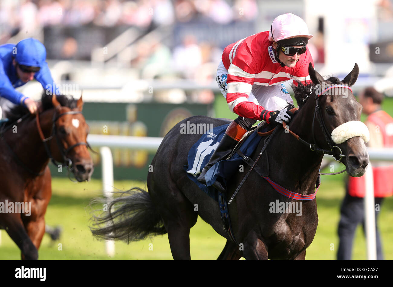 Mecca's Angel ridden by Paul Mulrennan wins the John Smith's Original ...