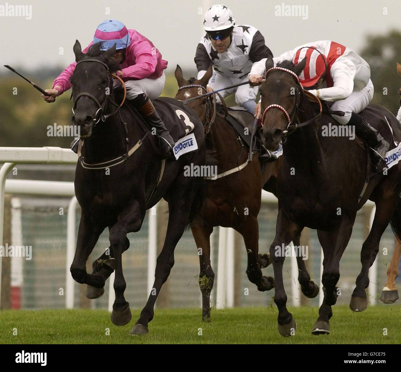 Princess Royal John Doyle Stake at Ascot Stock Photo - Alamy