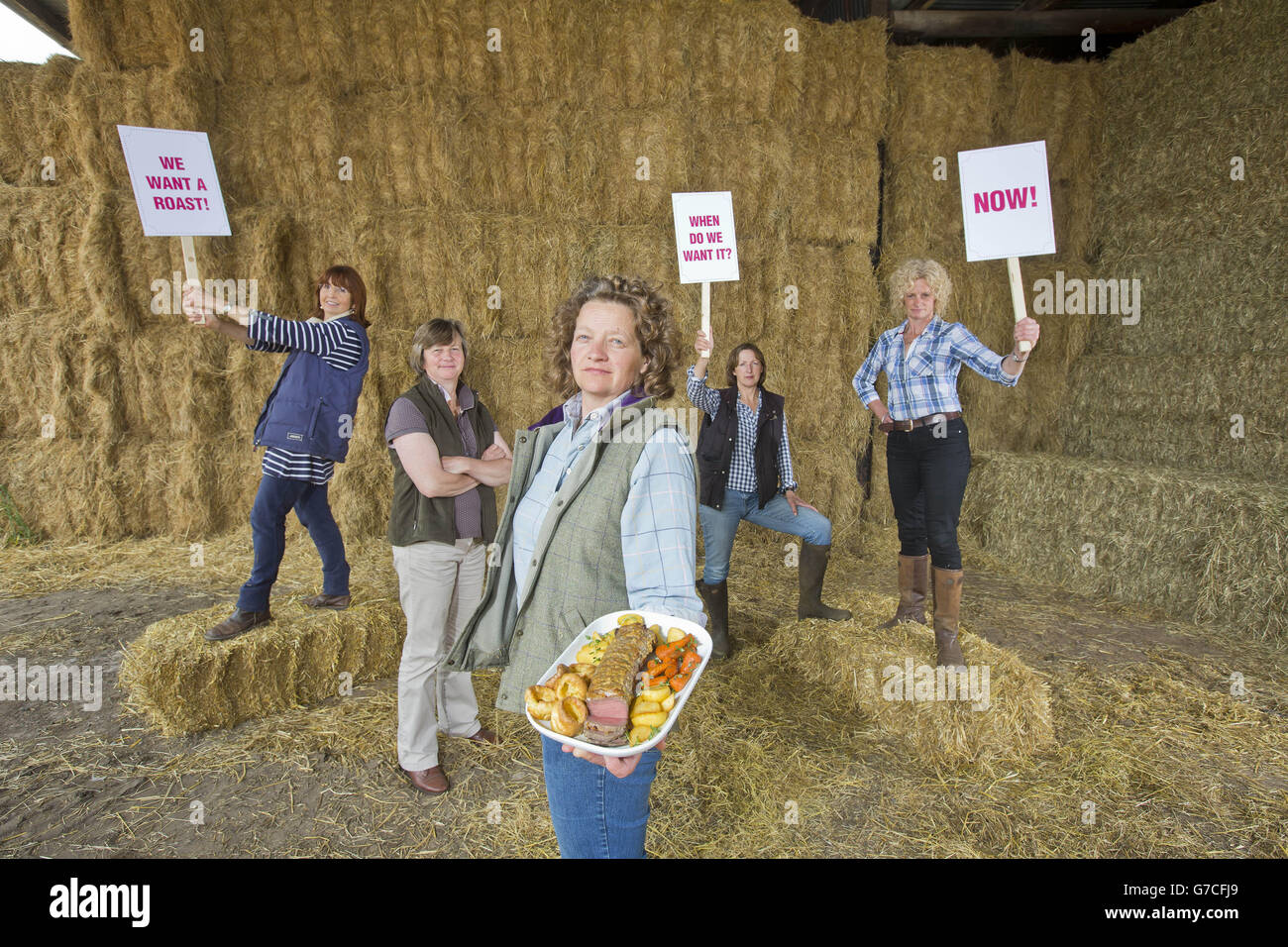 Ladies In Beef High Resolution Stock Photography and Images - Alamy