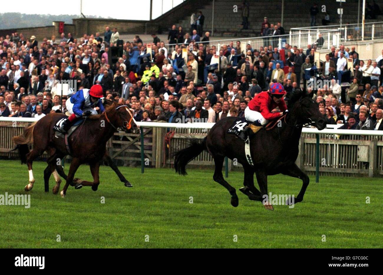Wins beech house stud ebf maiden class stakes hi-res stock photography ...