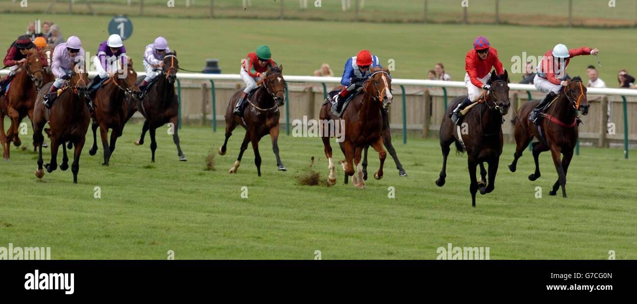 Beech house stud hi-res stock photography and images - Alamy
