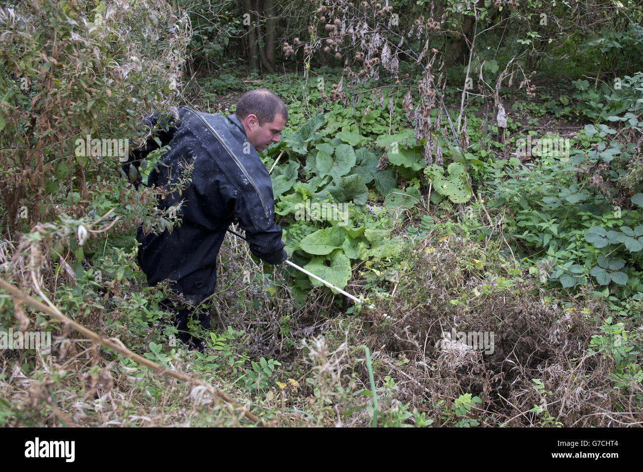 Alice Gross death Stock Photo - Alamy