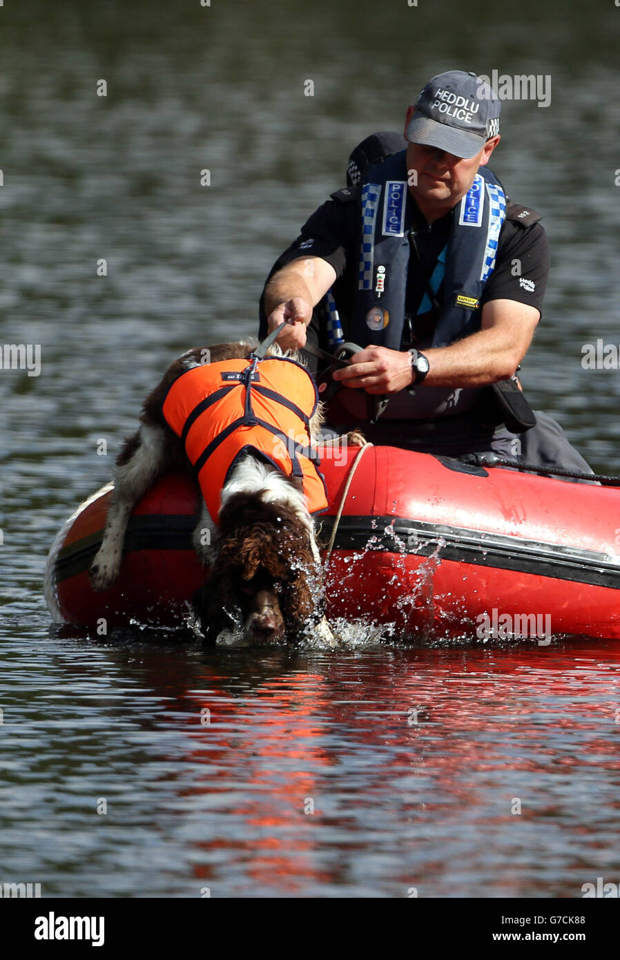 Metropolitan police dog unit hi-res stock photography and images - Alamy