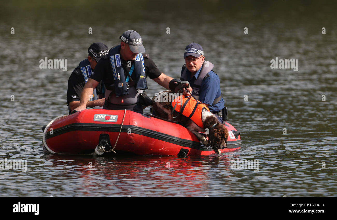 Alice Gross death Stock Photo - Alamy