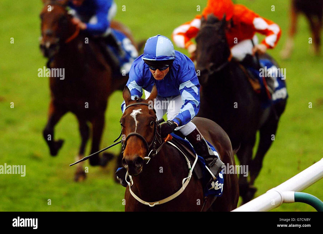 Shamardal ridden by jockey Kevin Darley wins the Darley Dewhurst Stakes ...