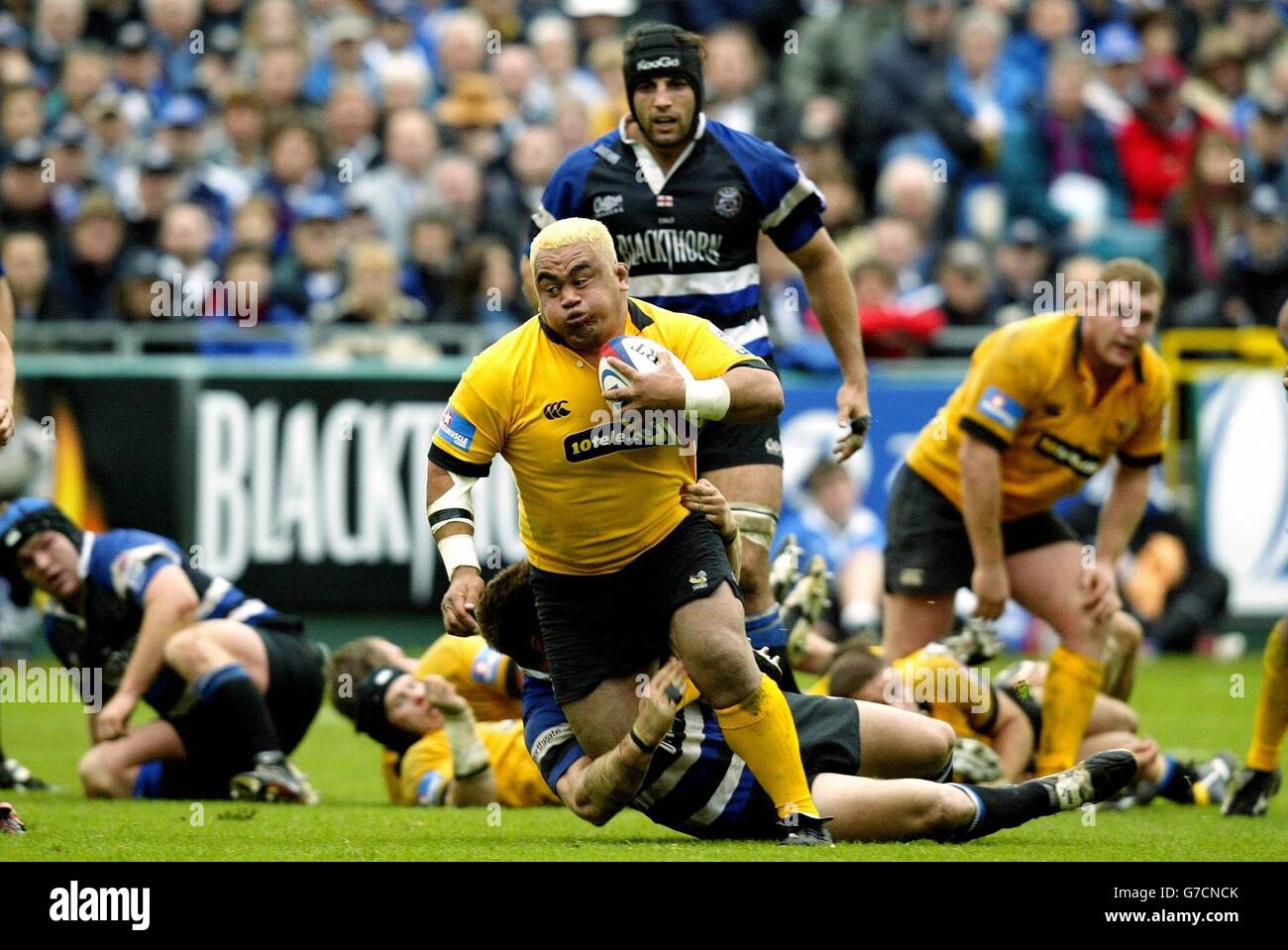 Michael lipman rugby hi-res stock photography and images - Alamy