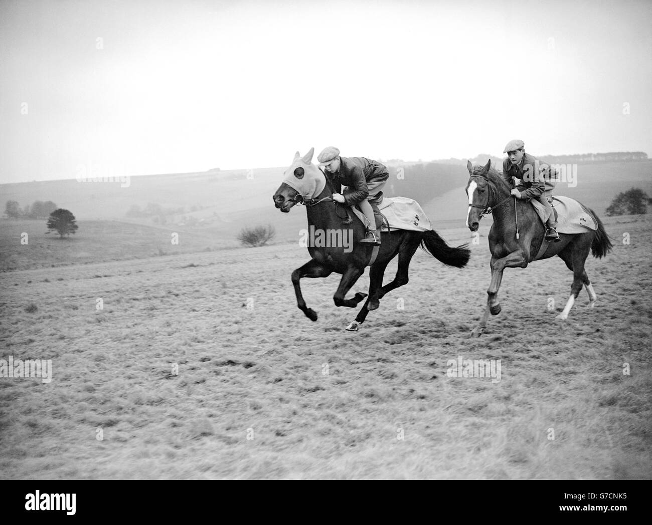 Boy jockeys Lester Piggott (l) and Dominic Forte in a training gallop ...