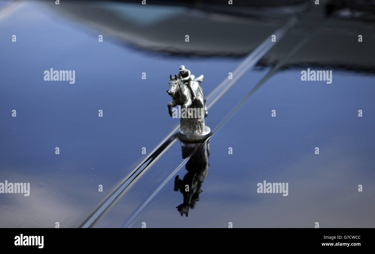 Princess Anne's Middlebridge Scimitar on display during day three of ...