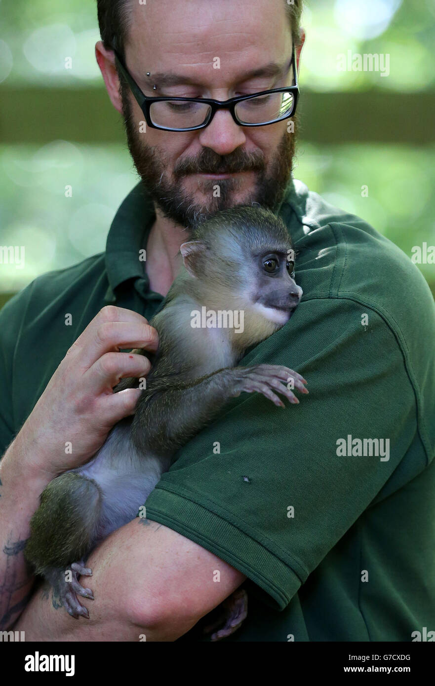 Simon jeffery hi-res stock photography and images - Alamy