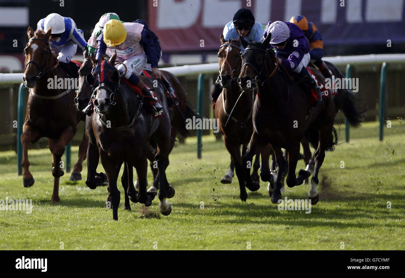Bronze Angel (yellow cap) ridden by Louis Steward wins the Betfred ...