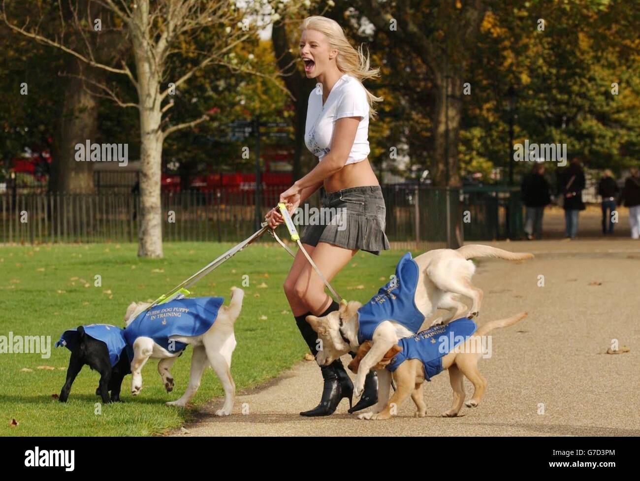 Celebrity dogs walking animals f l full length hl221004 emma hli hi-res ...