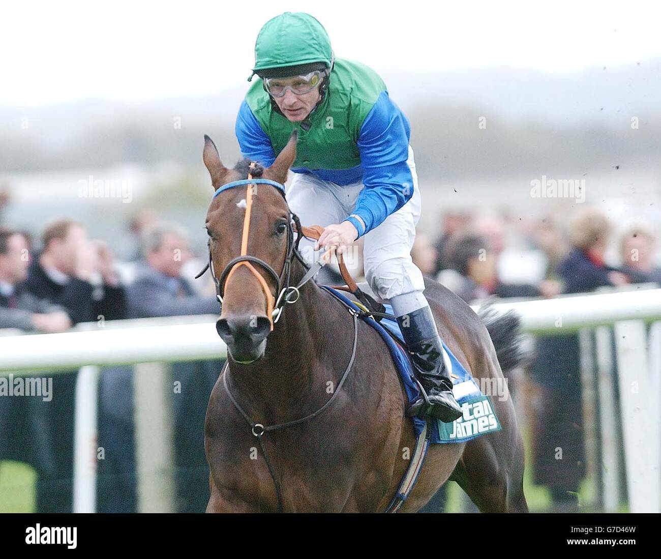 Sport horseracing seb sander hi-res stock photography and images - Alamy