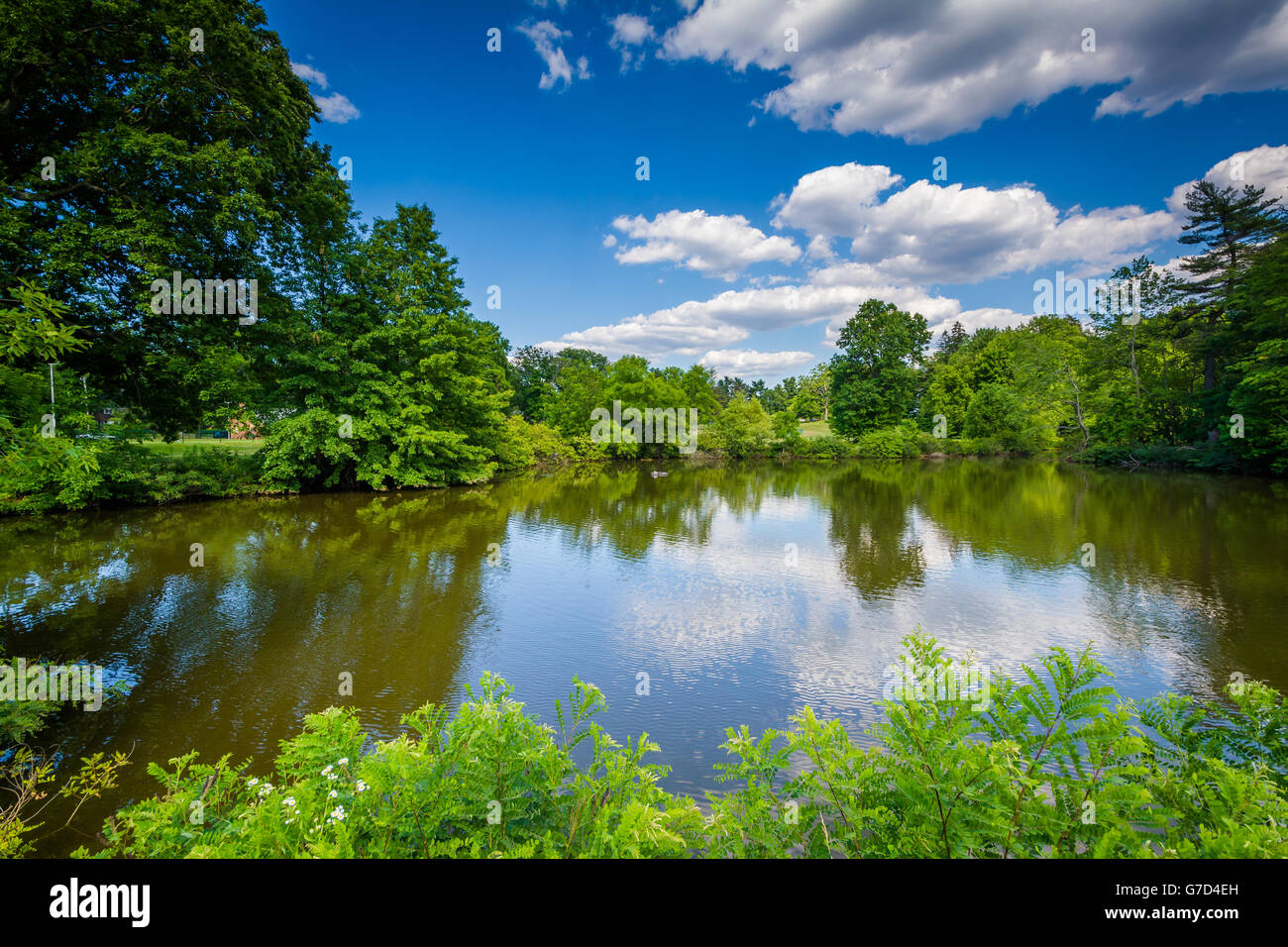 West hartford new england hi-res stock photography and images - Alamy
