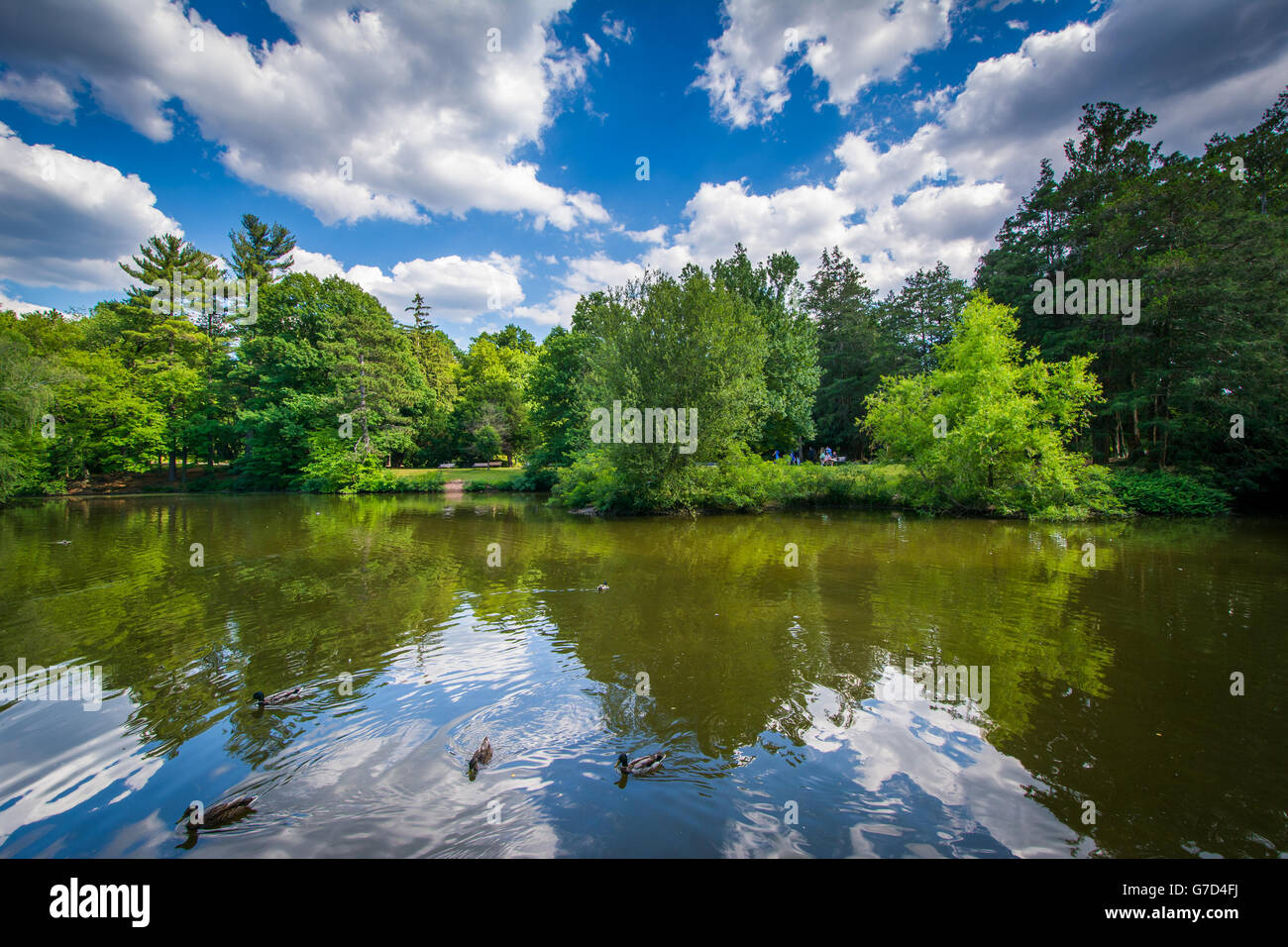Pond at Elizabeth Park, in Hartford, Connecticut Stock Photo - Alamy