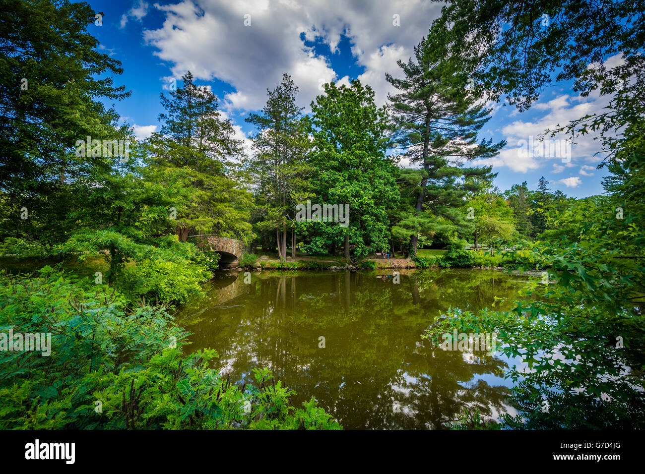 Pond at Elizabeth Park, in Hartford, Connecticut Stock Photo - Alamy