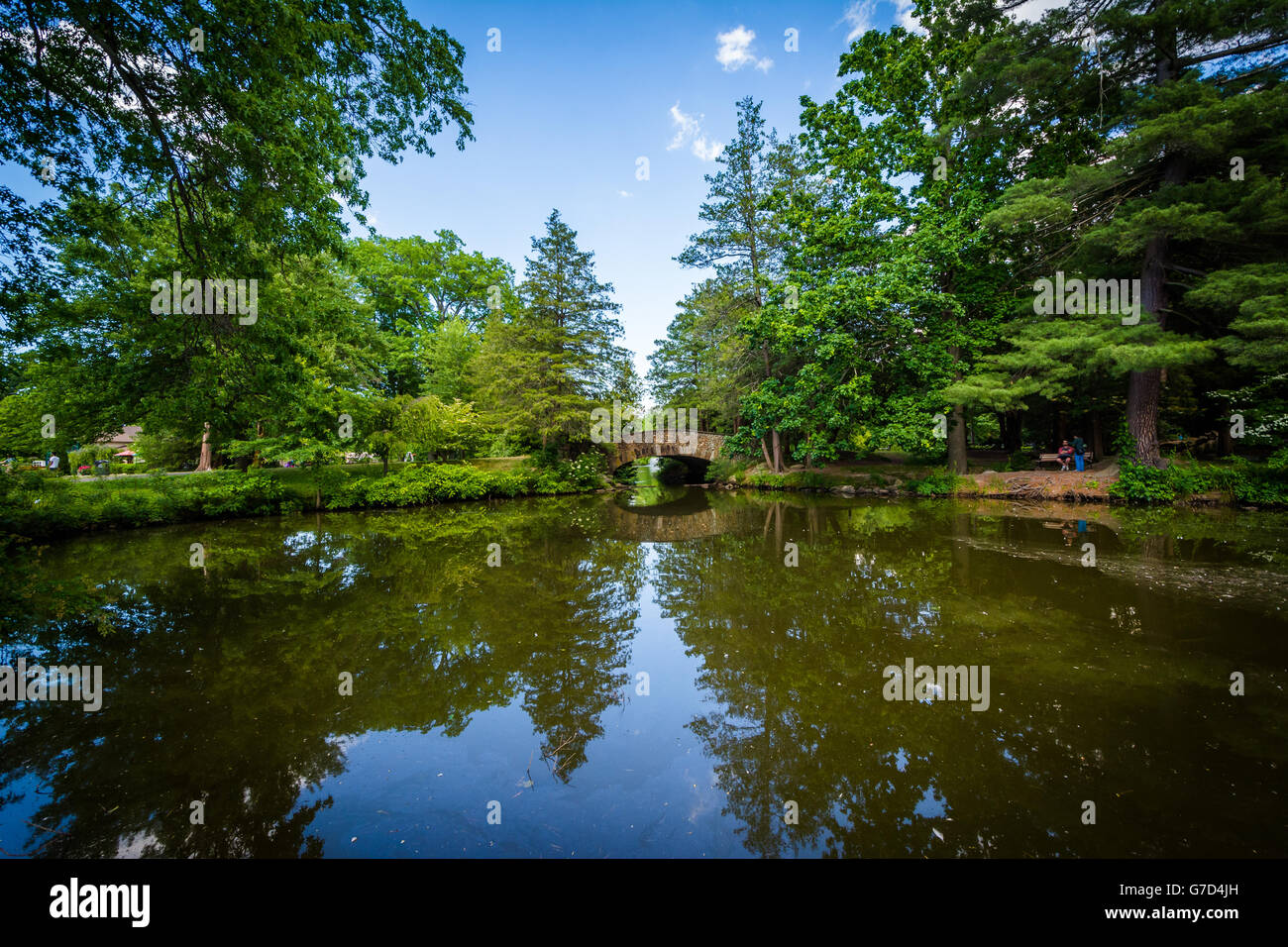 Pond at Elizabeth Park, in Hartford, Connecticut Stock Photo - Alamy