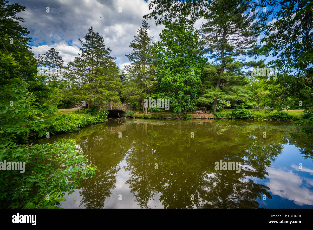 Pond at Elizabeth Park, in Hartford, Connecticut Stock Photo - Alamy