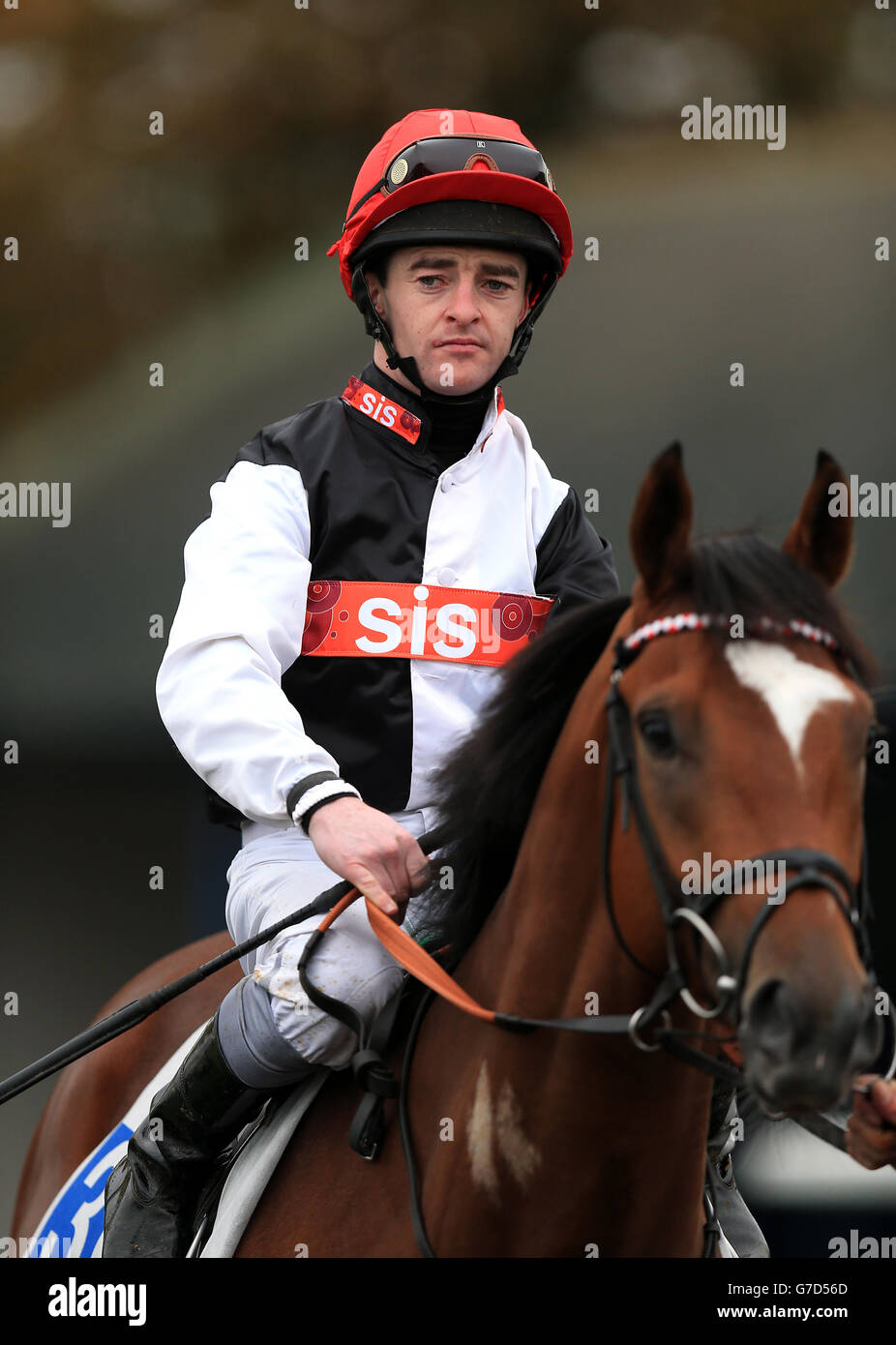 Horse racing races race flat fixture hi-res stock photography and ...